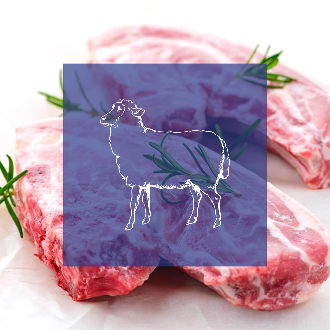 Horecaslagerij Euromeat OssHorecaslagerij Euromeat Oss